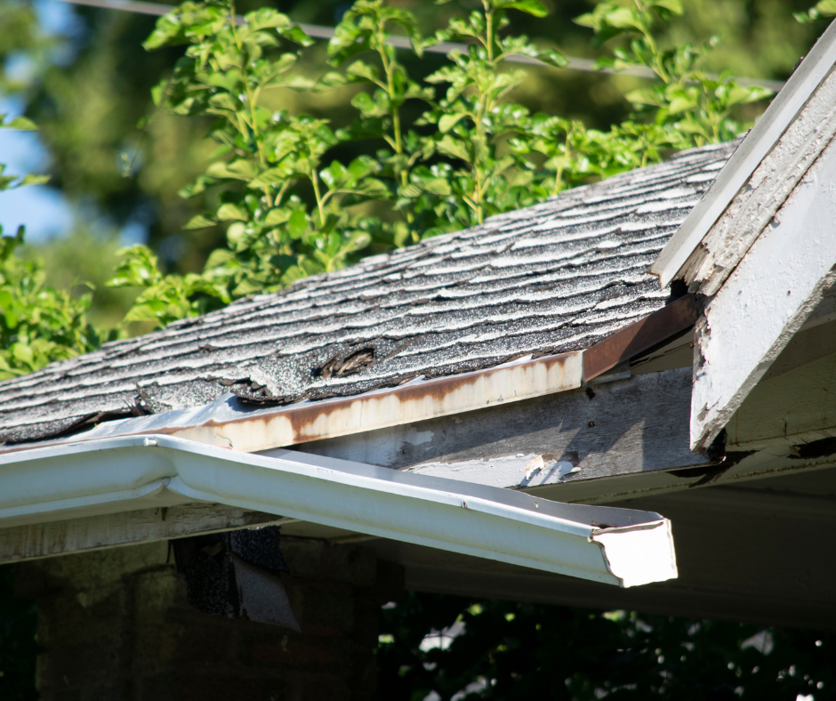 Discover the Top Warning Signals | Roof Damage